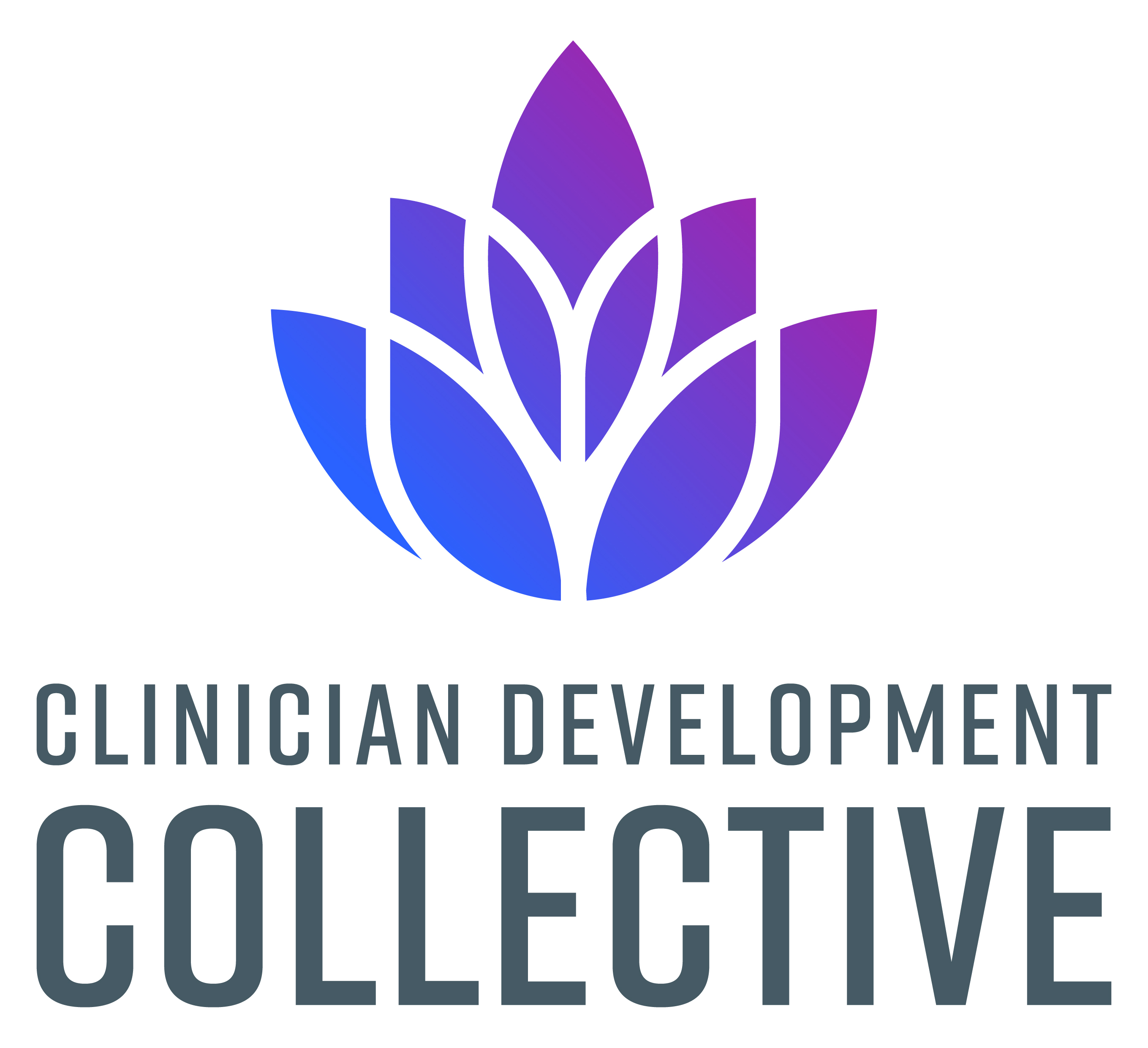Values Quiz | Clinician Development Collective